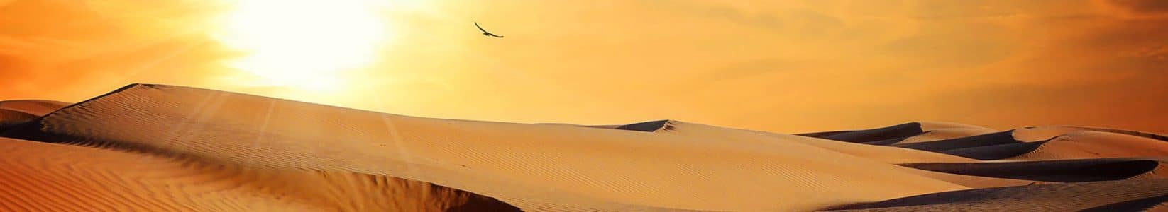 Sunlight Readable Deployable Workstation – Cots